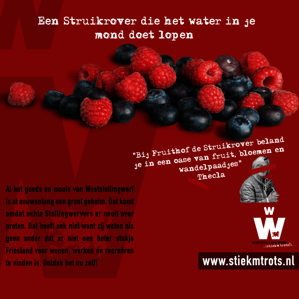 Struikrover in Oldeholtpade